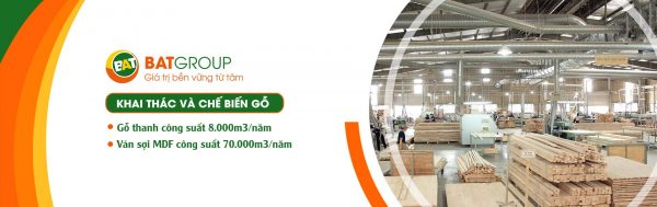 Tập đoàn Quốc tế BAT Việt Nam